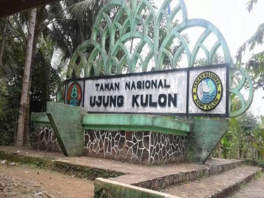 Keindahan Alam Taman Nasional Ujung Kulon yang Menawan - Wisata Alam ...